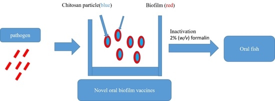 Vaccines | Special Issue : Vaccines for Aquaculture