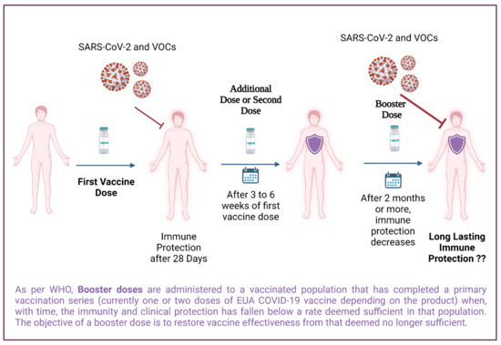 Is Booster Dose Strategy Sufficient for Omicron Variant of SARS-CoV-2?