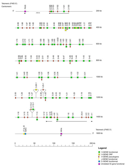 Vaccines | An Open Access Journal from MDPI