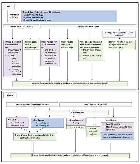 Vaccines | An Open Access Journal from MDPI