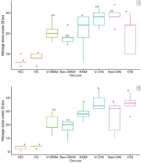 Efficacy and Immunogenicity of Recombinant Pichinde Virus-Vectored ...