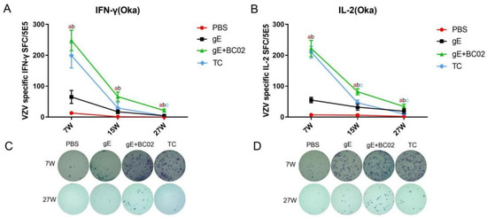 Vaccines | An Open Access Journal from MDPI