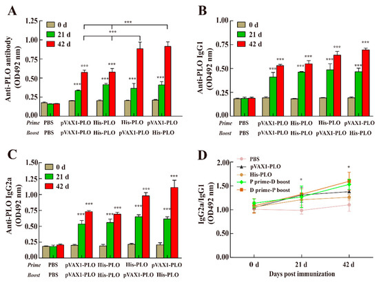 Heterologous Prime-Boost Immunization with DNA Vaccine and Modified ...