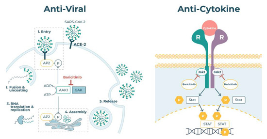 Vaccines | Free Full-Text | The AI-Assisted Identification and Clinical ...