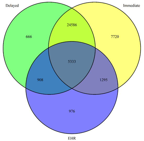 Download Diagram Designer 1295 Diagram Designer Download
