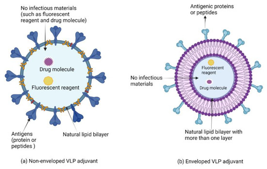 Advances in Infectious Disease Vaccine Adjuvants