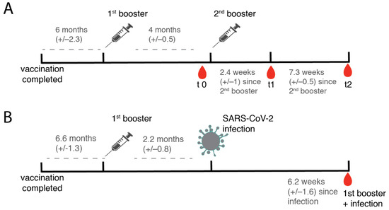 Vaccines | An Open Access Journal from MDPI