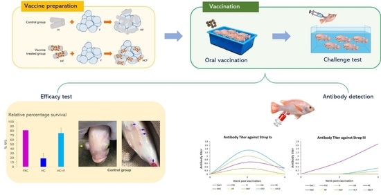 Vaccines | An Open Access Journal from MDPI