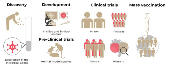 Vaccines against Emerging and Neglected Infectious Diseases: An Overview