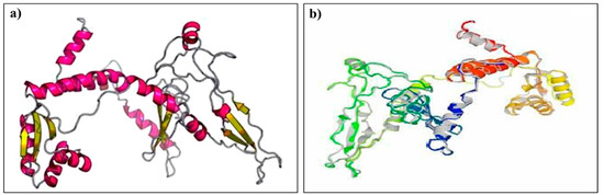 Designing a Multi-Epitope Vaccine against Toxoplasma gondii: An Immunoinformatics Approach