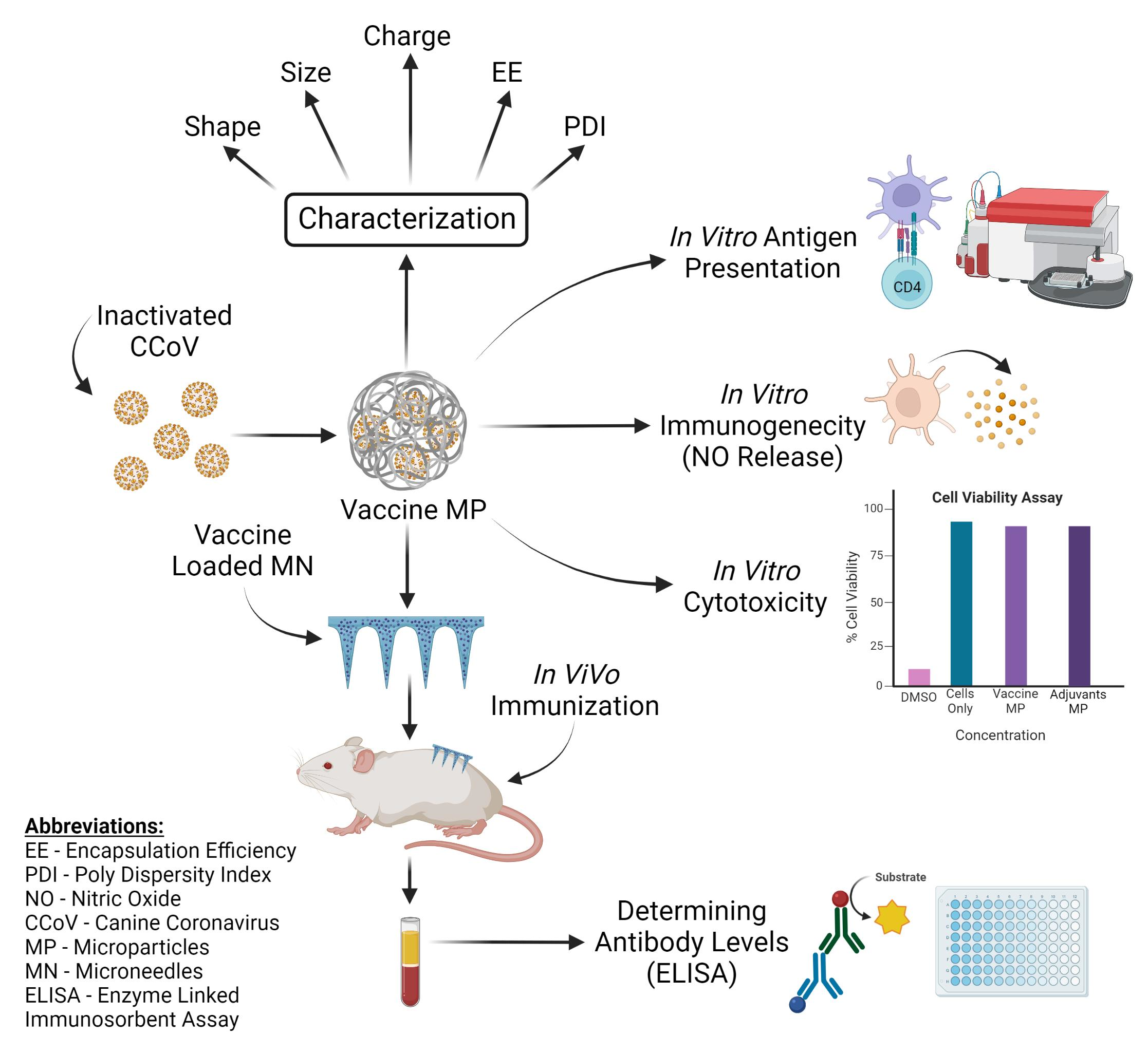 Vaccines | Free Full-Text | Microneedle Delivery of an Adjuvanted ...