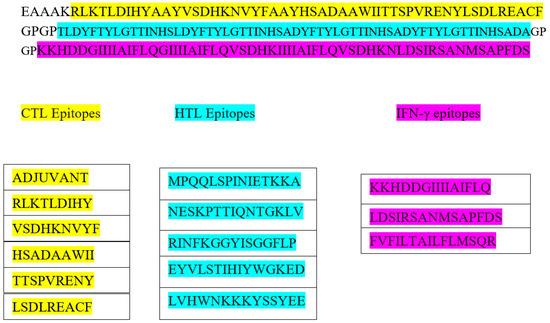 Multi-Epitope-Based Vaccine Candidate for Monkeypox: An In Silico Approach