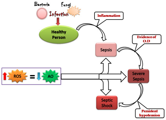 The Interplay of Oxidative Stress and ROS Scavenging: Antioxidants as a ...