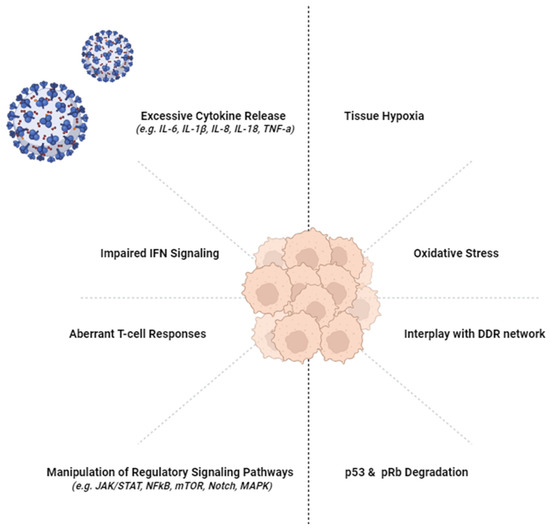 New Insights into SARS-CoV-2 and Cancer Cross-Talk: Does a Novel ...