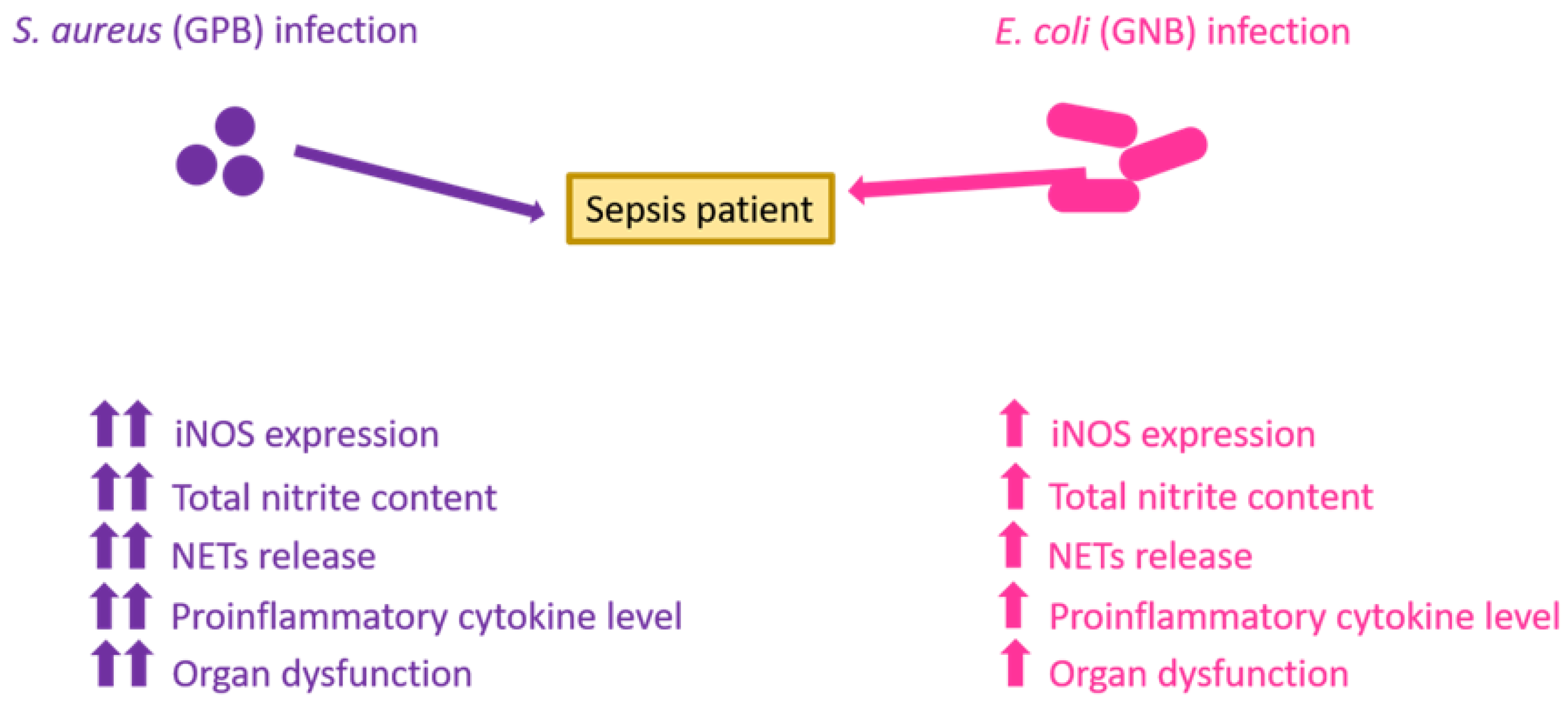 Unravelling the Differential Host Immuno-Inflammatory Responses to ...