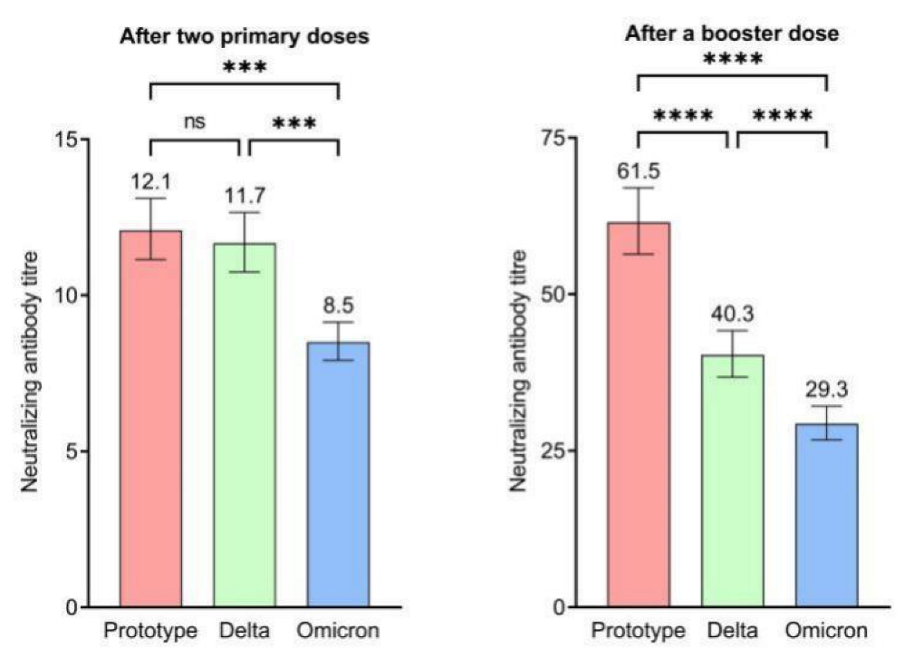 Immune Persistence against SARS-CoV-2 after Primary and Booster ...
