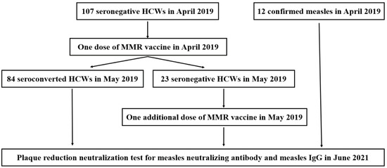 Vaccines | Free Full-Text | Measles Virus Neutralizing Antibody ...