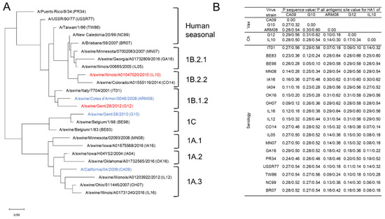Exploring Prime-Boost Vaccination Regimens with Different H1N1 Swine ...
