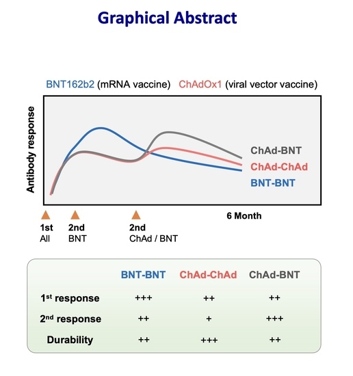 Vaccines | Free Full-Text | Immunogenicity and Durability of Antibody ...