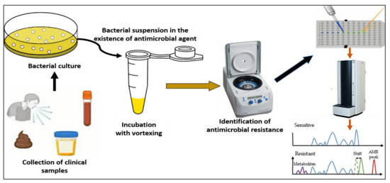 How MALDI-TOF Mass Spectrometry Technology Contributes to Microbial ...