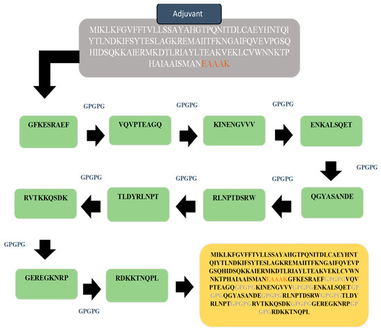 Computational Design of a Chimeric Vaccine against Plesiomonas shigelloides Using Pan-Genome and ...