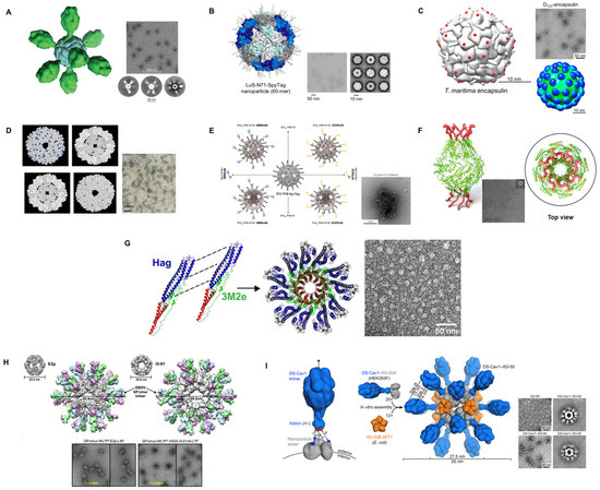 Vaccination Strategies Based on Bacterial Self-Assembling Proteins as ...