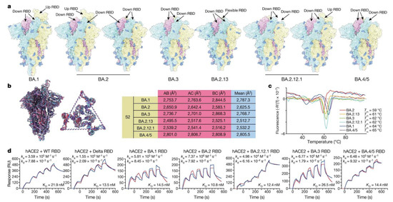 Vaccines | Free Full-Text | The Delta and Omicron Variants of SARS-CoV ...