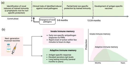 Trained Immunity as a Prospective Tool against Emerging Respiratory ...