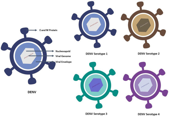 Preparedness for the Dengue Epidemic: Vaccine as a Viable Approach