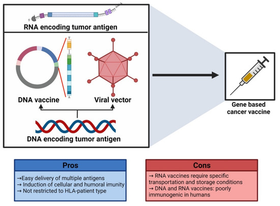 Recent Advances in Cancer Vaccines: Challenges, Achievements, and ...