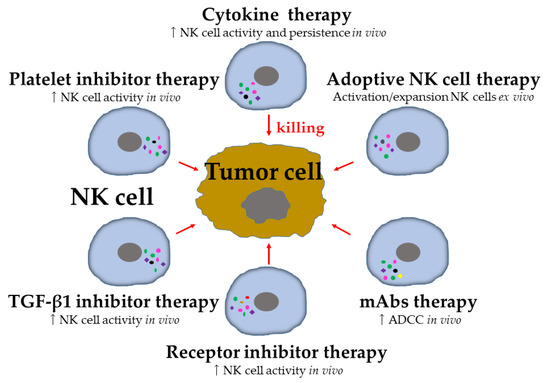 Harnessing NK Cells to Control Metastasis