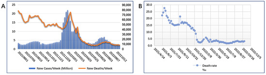 Advances in Next-Generation Coronavirus Vaccines in Response to Future Virus Evolution