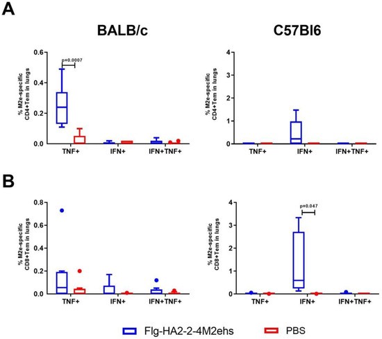 Flagellin-Fused Protein Targeting M2e and HA2 Induces Innate and T-Cell Responses in Mice of ...