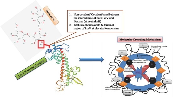 Vaccines | Free Full-Text | Determination of Conformational and ...