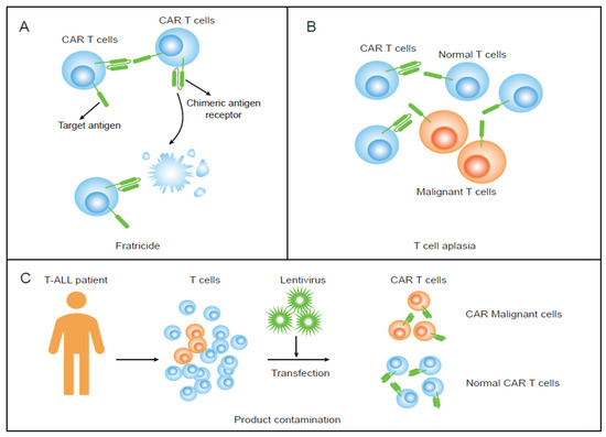 CAR T-Cell Immunotherapy Treating T-ALL: Challenges and Opportunities
