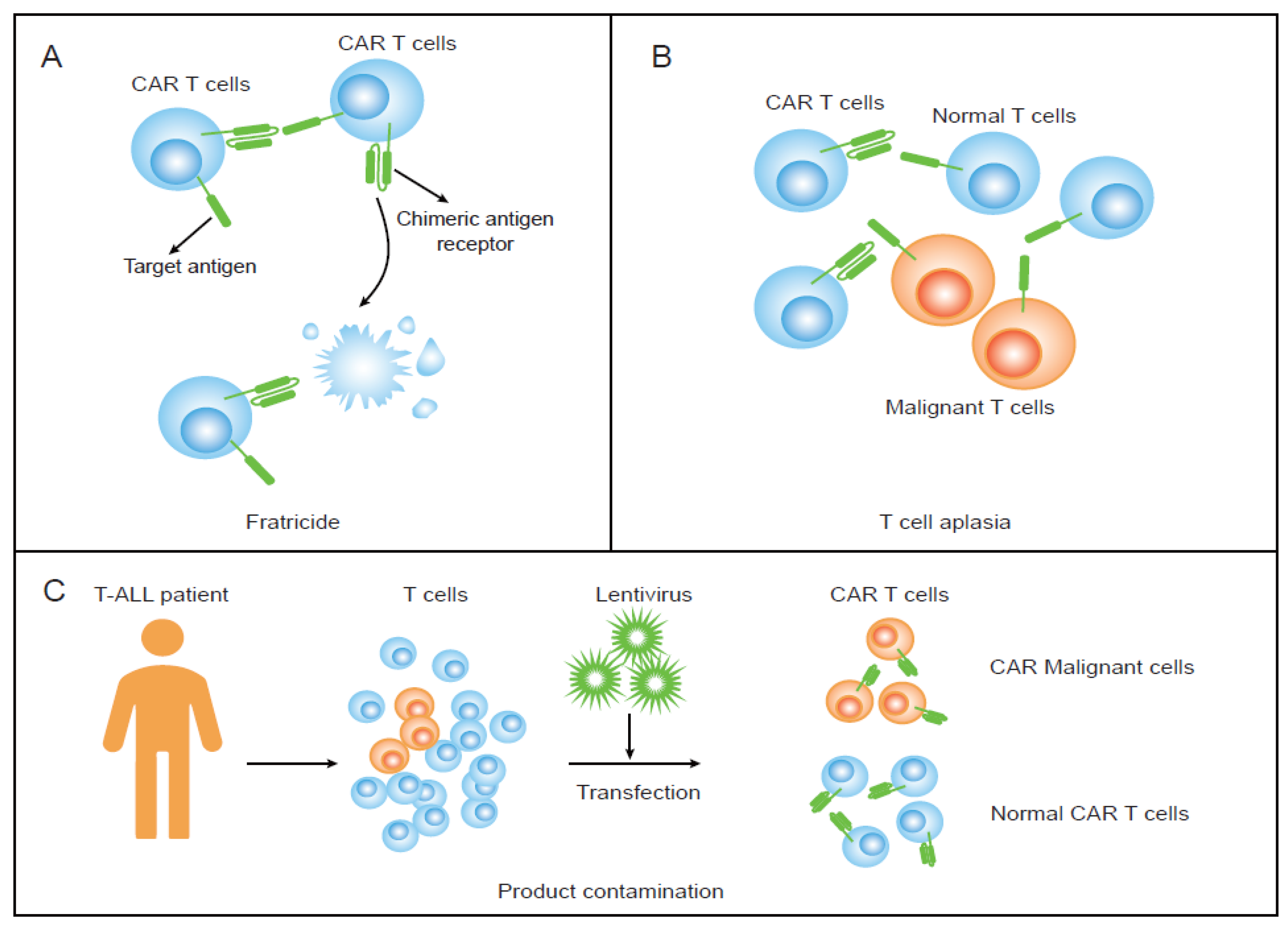 Vaccines Free Full Text Car T Cell Immunotherapy Treating T All Challenges And Opportunities