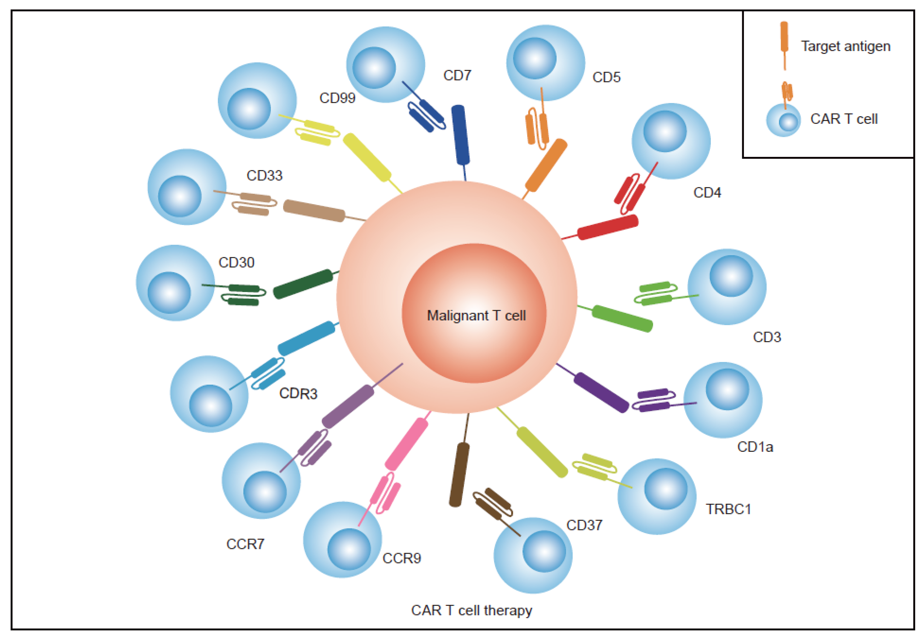 CAR T-Cell Immunotherapy Treating T-ALL: Challenges and Opportunities