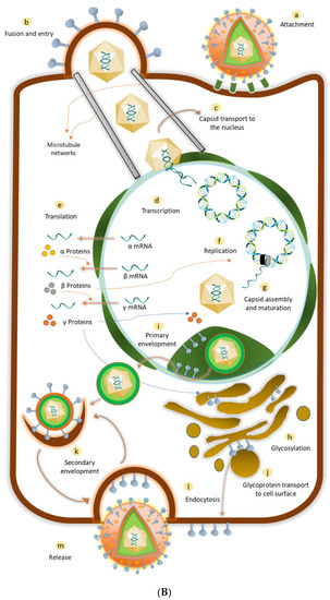 An Insight into Current Treatment Strategies, Their Limitations, and ...