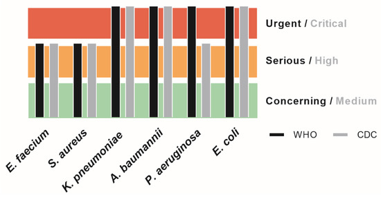 Carriers and Antigens: New Developments in Glycoconjugate Vaccines