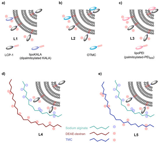 The Development of Surface-Modified Liposomes as an Intranasal Delivery ...