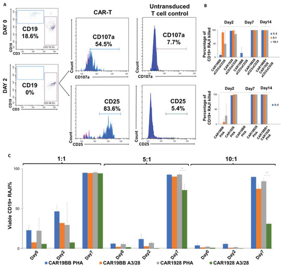 Vaccines | Free Full-Text | CAR-T Cells with Phytohemagglutinin (PHA) Provide Anti-Cancer ...