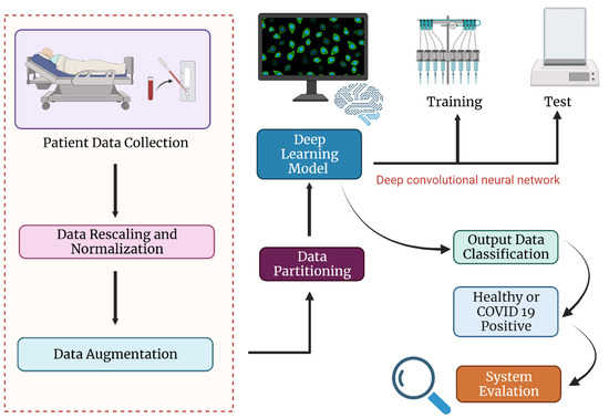 Conventional and Novel Diagnostic Tools for the Diagnosis of Emerging ...