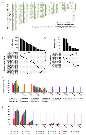 LRP2 and DOCK8 Are Potential Antigens for mRNA Vaccine Development in ...