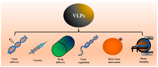 Yeast-Based Virus-like Particles as an Emerging Platform for Vaccine Development and Delivery