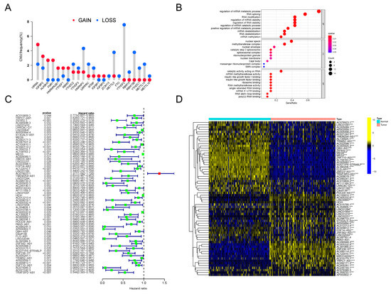 M6A-Related Long Non-Coding RNA Displays Utility in Predicting Prognosis, Portraying the Tumor ...