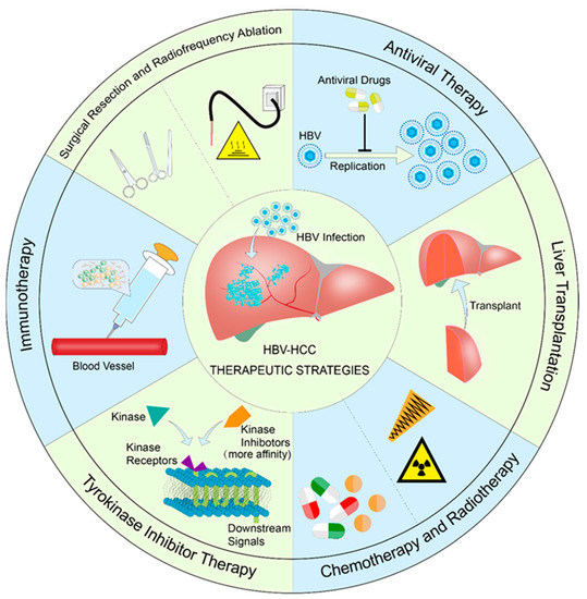 Immune Checkpoint Inhibitors in HBV-Caused Hepatocellular Carcinoma Therapy