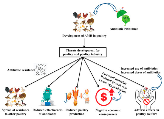 A Comprehensive Review on Bacterial Vaccines Combating Antimicrobial ...