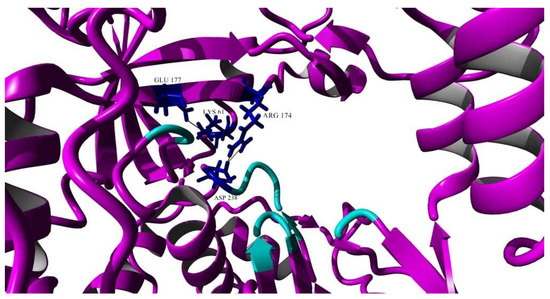 Vaccines | Free Full-Text | Insights into In Vitro Adaptation of EV71 ...