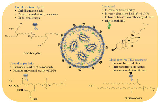 Recent Advances in the Lipid Nanoparticle-Mediated Delivery of mRNA Vaccines