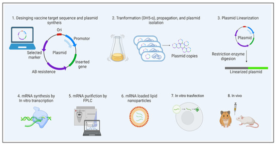 Recent Advances in the Lipid Nanoparticle-Mediated Delivery of mRNA Vaccines
